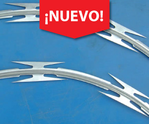 Consorcio Internacional – Proaces y Consorcio Internacional